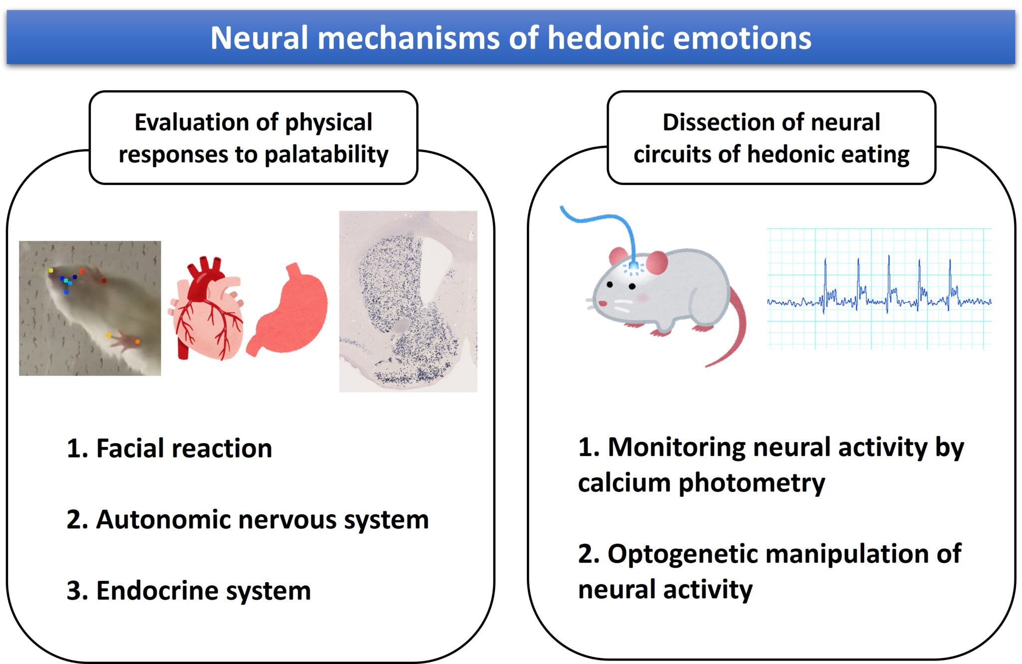 deep SHITSUKAN – D02-9 Evaluation of physical responses to pleasure and ...